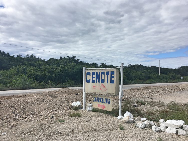 A Guide to The Best Cenotes in Tulum – Gypsy Sols