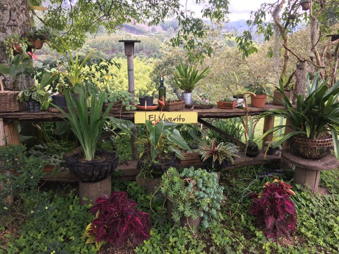 Visiting Salento – Colombian Coffee Paradise – Gypsy Sols