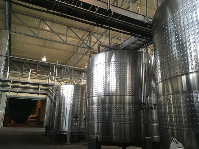 Mendoza the Wine Tasting Capital of Argentina – Gypsy Sols