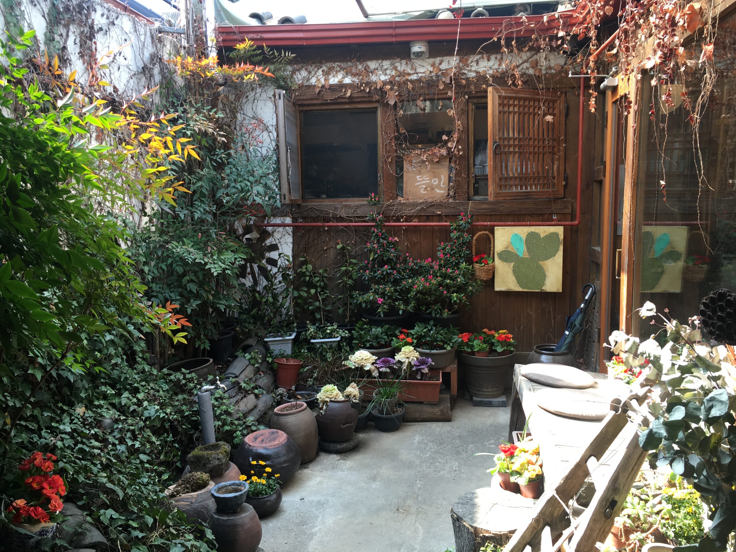 30 Hours in Seoul – Gypsy Sols